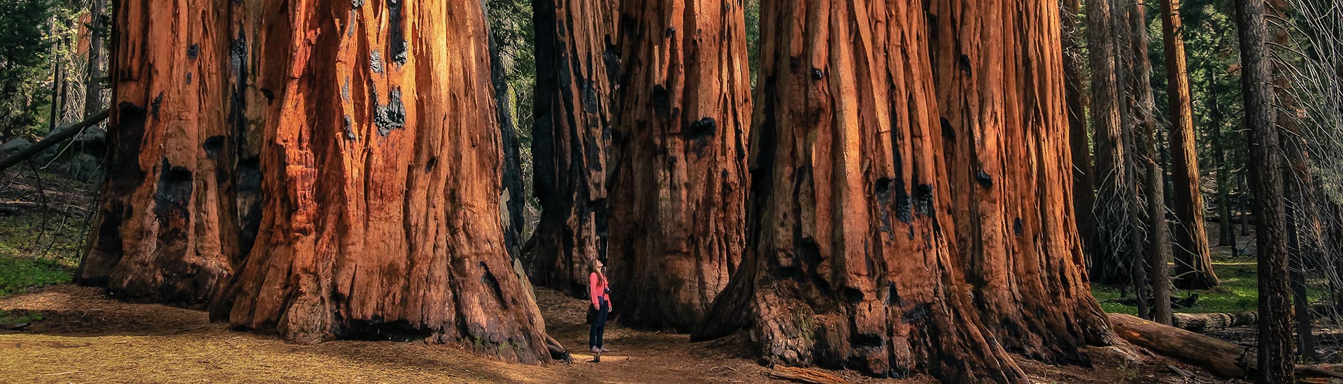 British Columbia Social Studies Resources